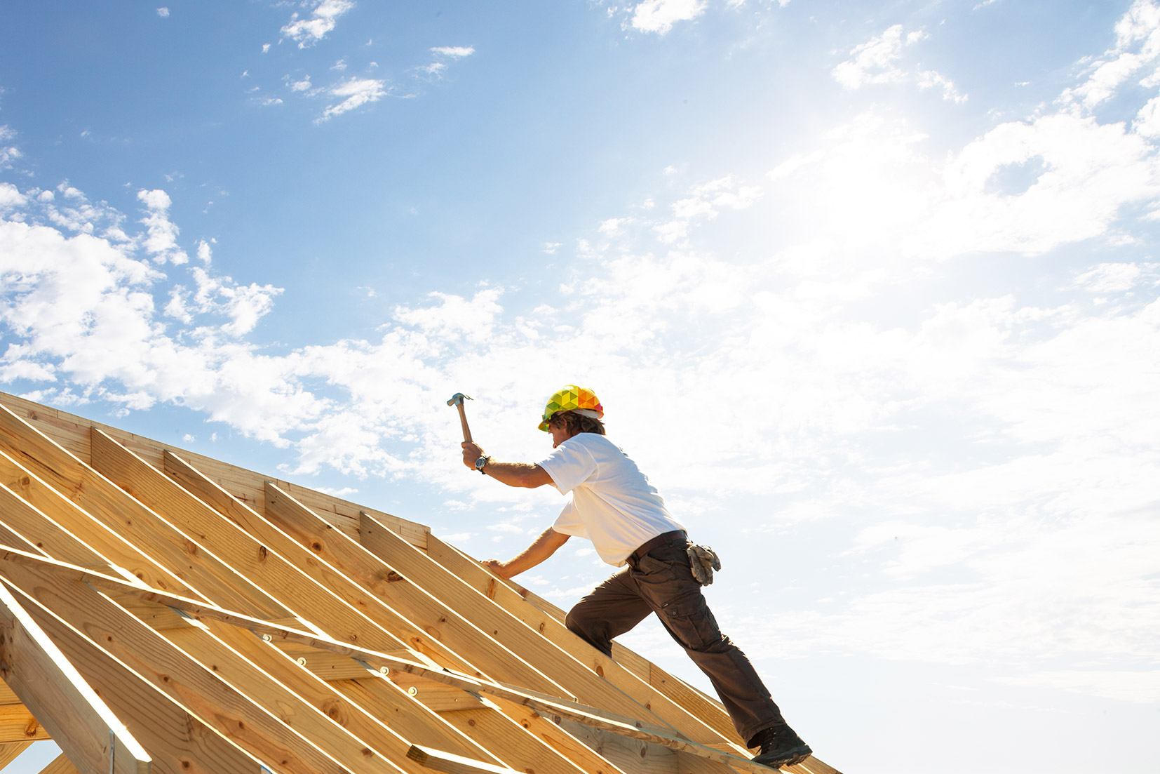 Decotis Specialty Insurance - DeCotis